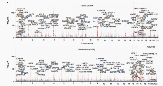 单细胞联合还能这样玩，单细胞和EQTL联合分析确定疾病机制和潜在的治疗方法_基因组_scATAC_研究