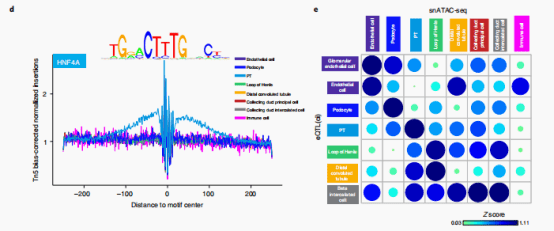 单细胞联合还能这样玩，单细胞和EQTL联合分析确定疾病机制和潜在的治疗方法_基因组_scATAC_研究