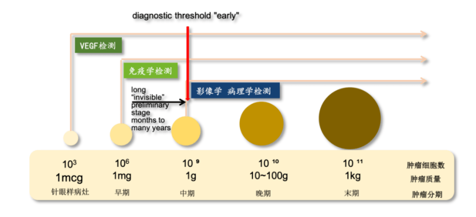 抗体药物重要靶点——血管内皮生长因子VEGF_受体_通路_新生