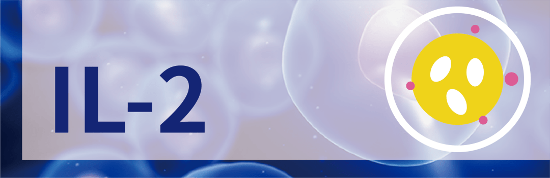 MED生物分析 | 评估细胞免疫效应——细胞因子IFN-γ和IL-2简介_诱导_反应_调节