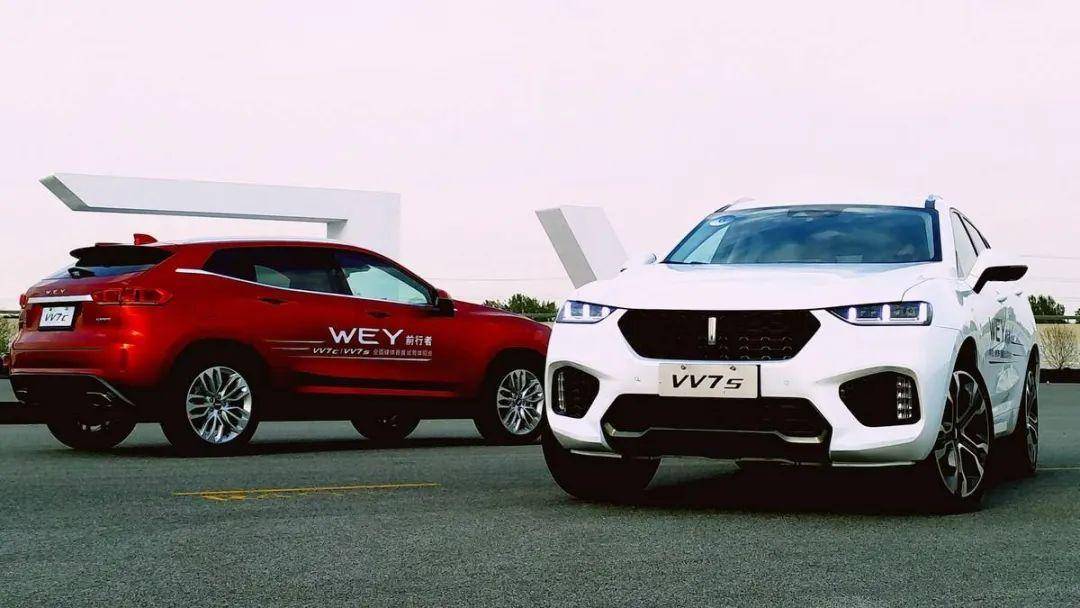 年销量跌幅超50%，WEY什么你不行了？_搜狐汽车_搜狐网