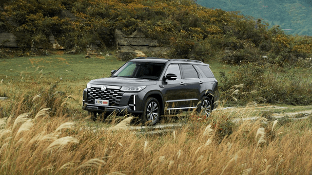 大家庭智能7座SUV！售价17.59万元起，长安CS95PLUS正式上市_搜狐汽车_搜狐网
