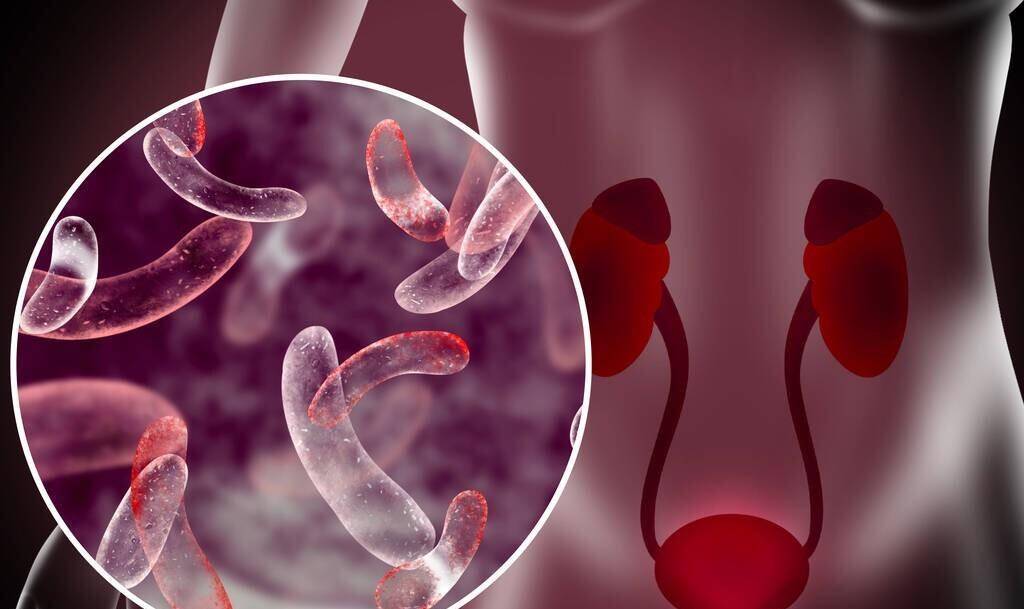 寿命长短，排尿便知？提醒：排尿时如出现4个变化，需尽早检查_疾病_肾脏_问题