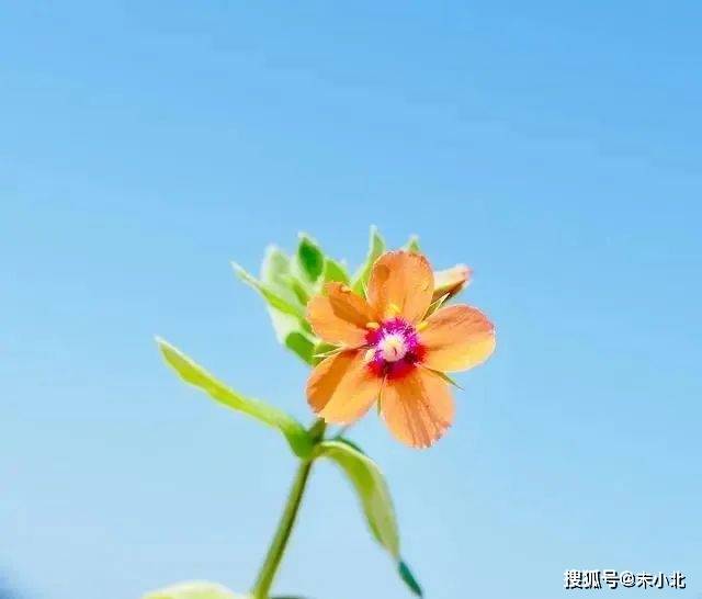 真正聪明的人,不会和穷人走得太近 搜狐大视野 搜狐新闻