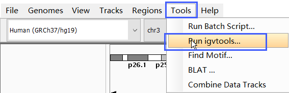 IGV快速上手指南——（一）安装和使用_文件_信息_bam