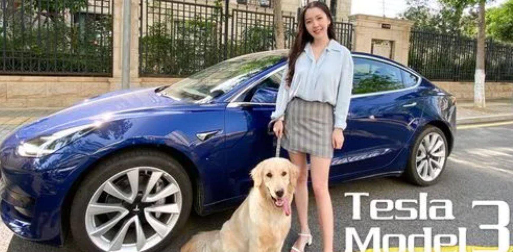 动力更强续航更长的BYD海豹冠军版终究还是“输“给了特斯拉Model3_搜狐汽车_搜狐网