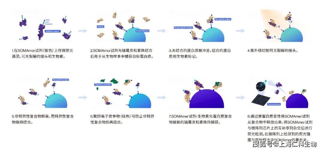 SomaScan新一代高通量蛋白质组学研究平台，实现7000种蛋白质检测_Assay_分析_疾病