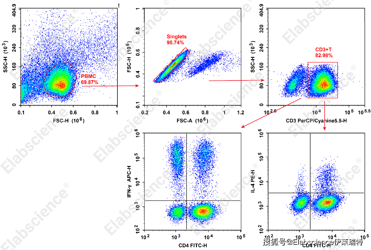 Elabscience流式课堂｜Th1/Th2/Th17细胞简介及指标选择_检测_实验_抗体