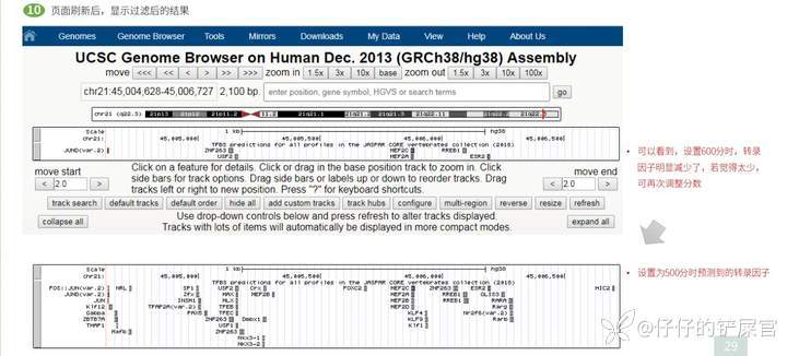 【科研工具包】转录因子预测及优化策略 ——JASPAR、NCBI、UCSC数据库联用_基因_序列_位点