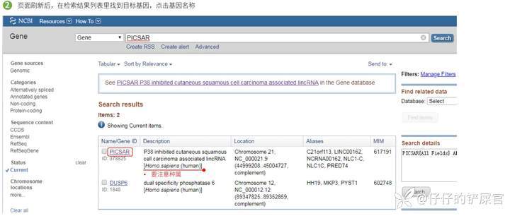【科研工具包】转录因子预测及优化策略 ——JASPAR、NCBI、UCSC数据库联用_基因_序列_位点