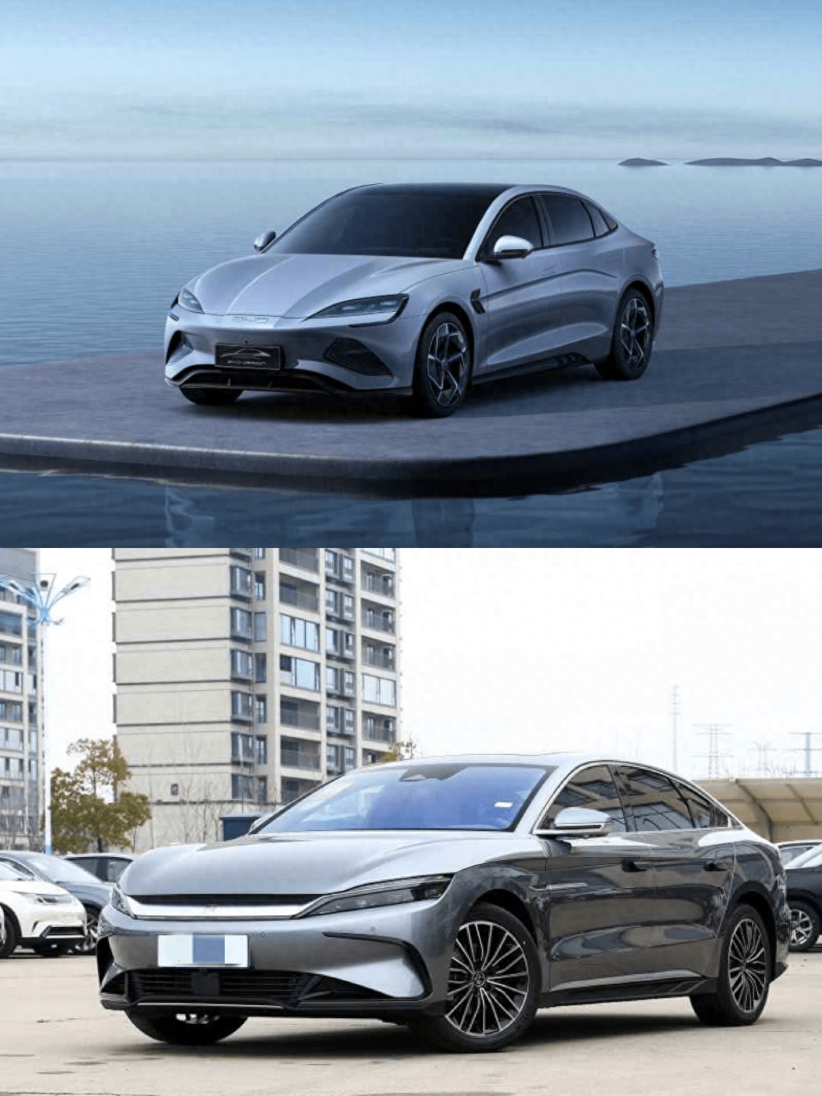 最火电轿盘点，零跑C01、非凡F7、汉EV、海豹谁主沉浮？_搜狐汽车_搜狐网