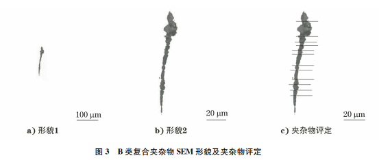 分享：GB/T10561标准的修订解析_检测_杂物_评定
