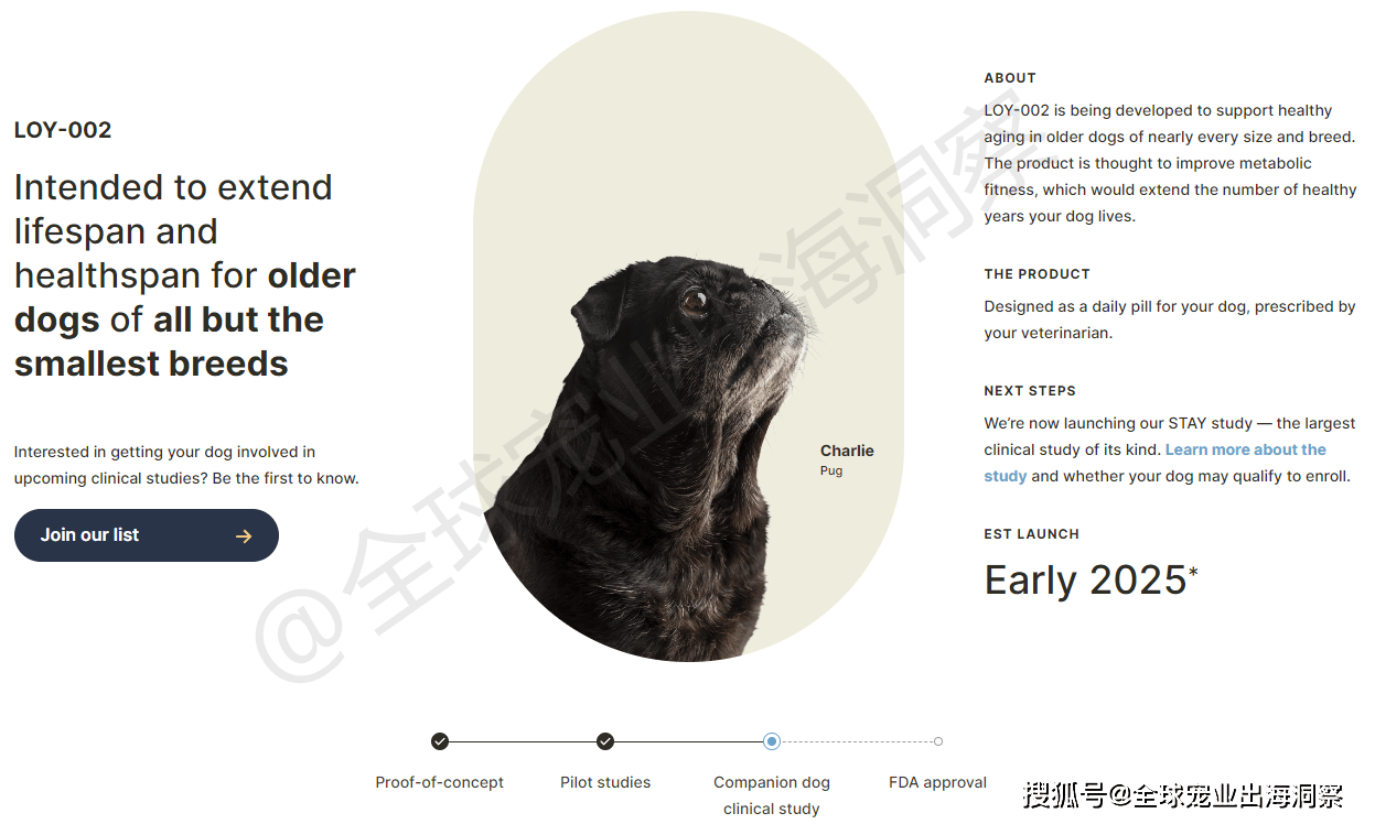 首创！一款用于延长宠物狗寿命的新药获FDA支持_搜狐网