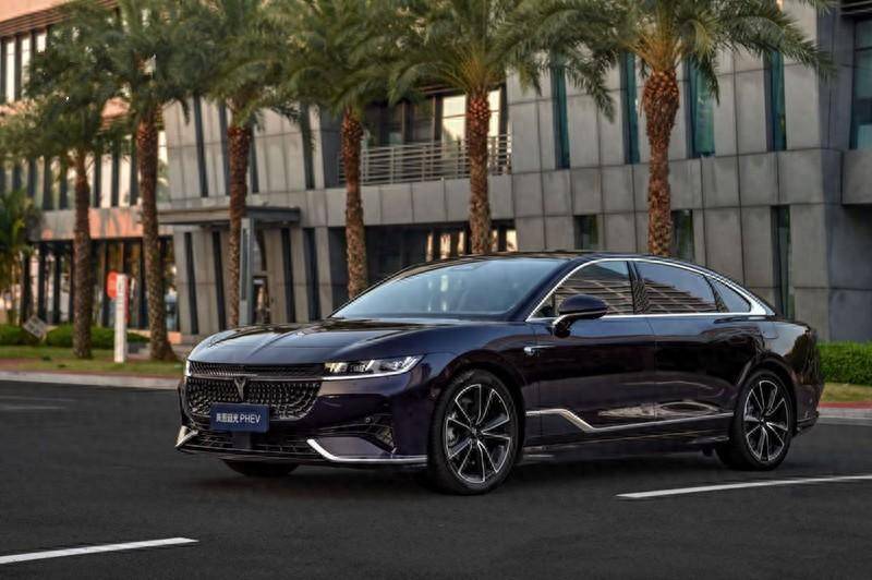 试驾岚图追光PHEV后，感觉BBA的“56E”真不香了_搜狐汽车_搜狐网