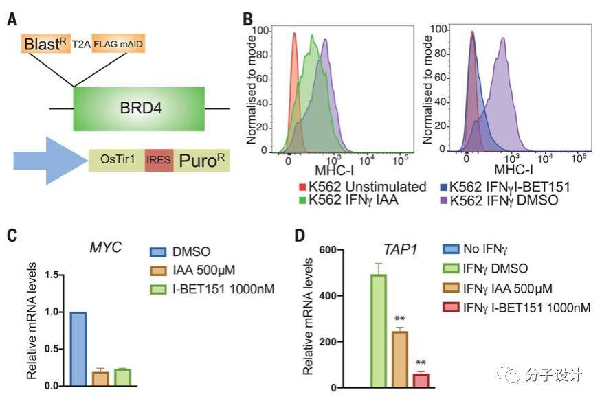 BET蛋白BD1/BD2选择性抑制剂及适应症探索_诱导