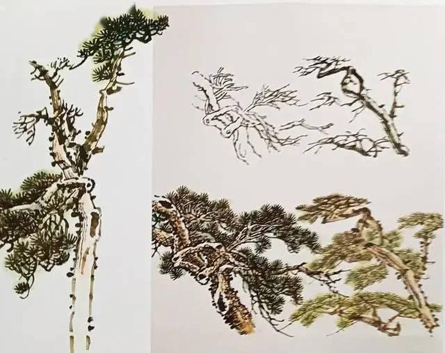 国画：松树的各种画法「图解」