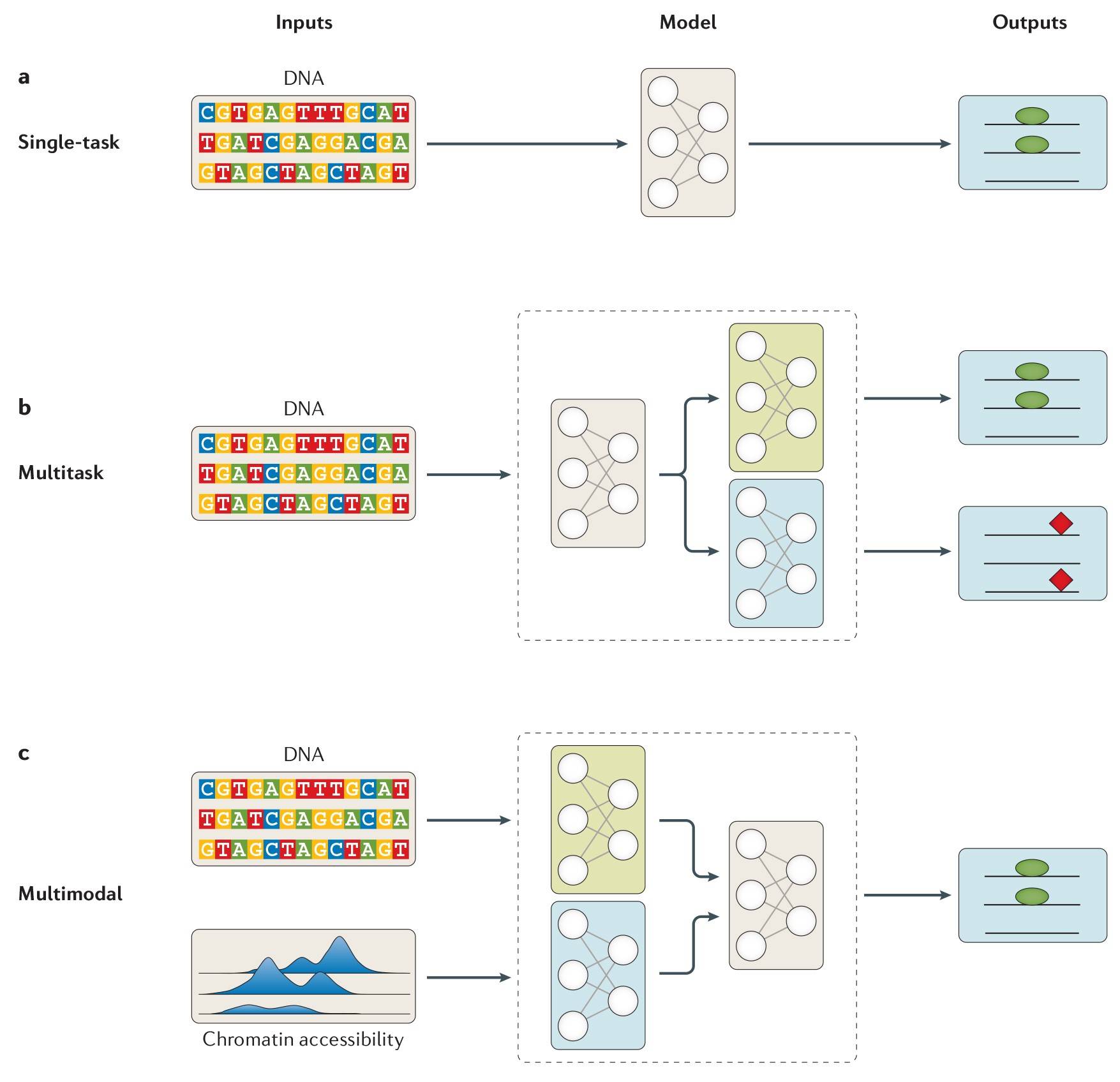 基因组学中的深度学习_预测