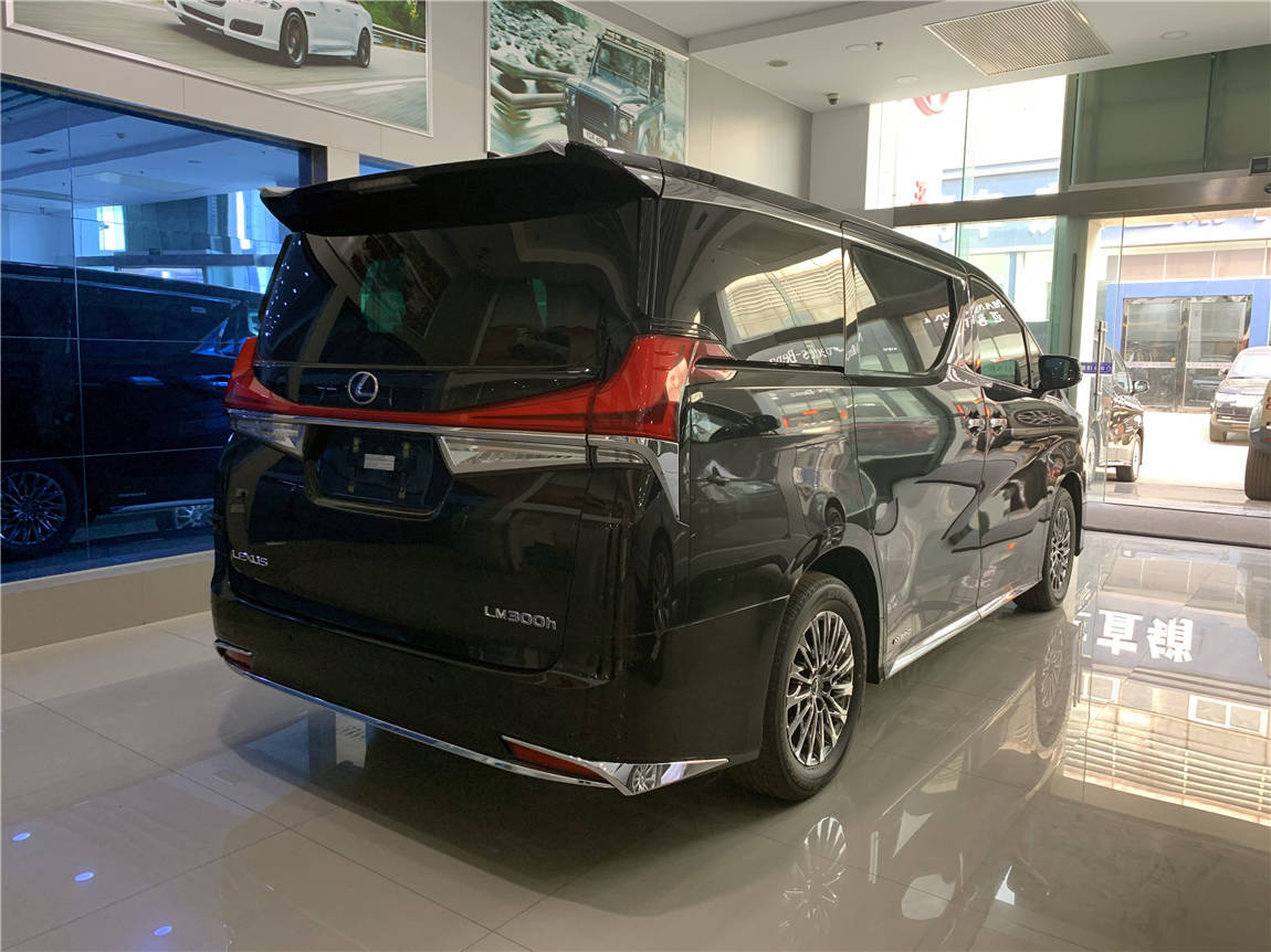 雷克萨斯 LM 300h 四座版 最新款-搜狐大视野-搜狐新闻