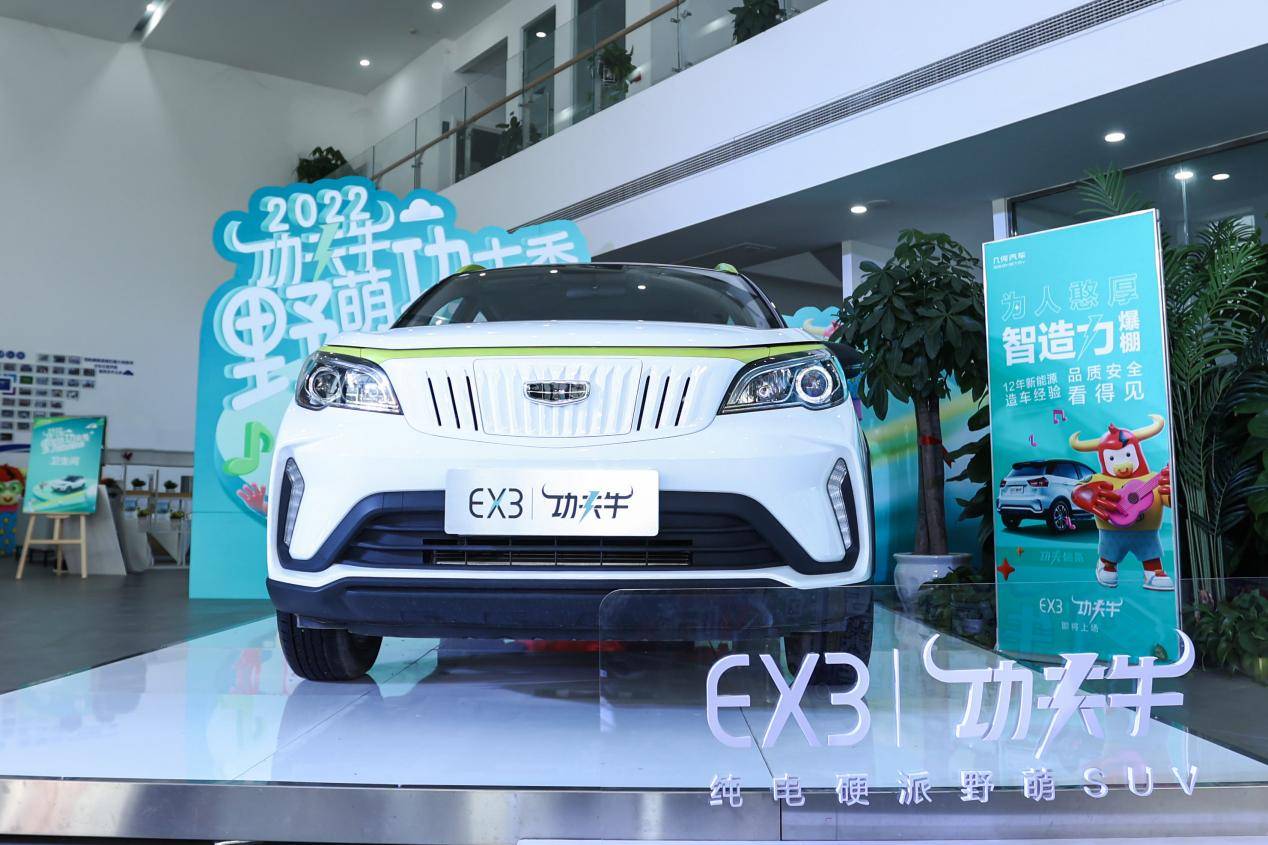 EX3丨功夫牛八式“秘笈”秀江城 补贴后售价5.88-6.88万元_搜狐汽车_搜狐网