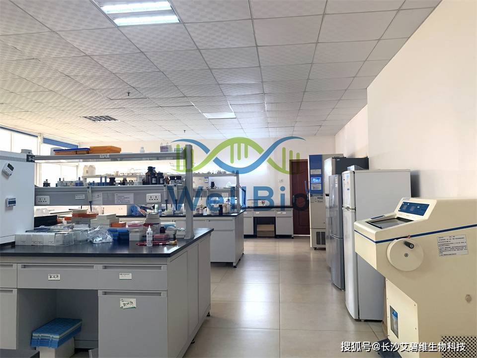 长沙艾碧维（Abiowell）实验室图片--细胞房-搜狐大视野-搜狐新闻