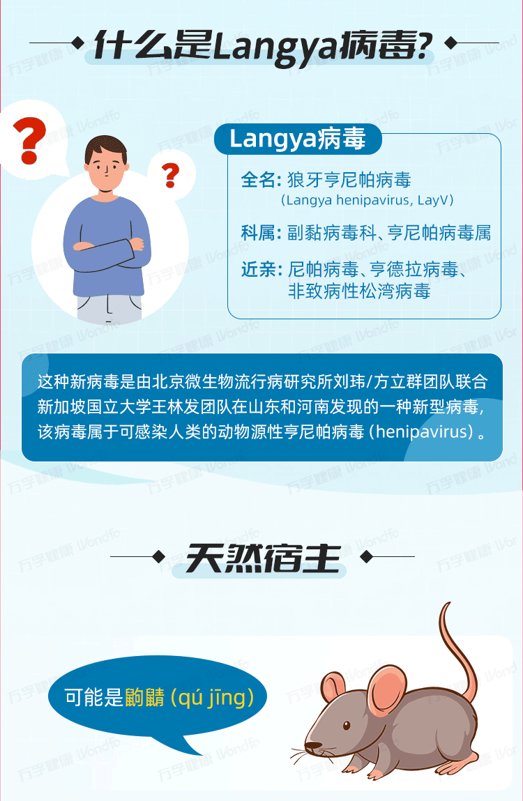 Langya病毒究竟是什么？一图带你解读-搜狐大视野-搜狐新闻