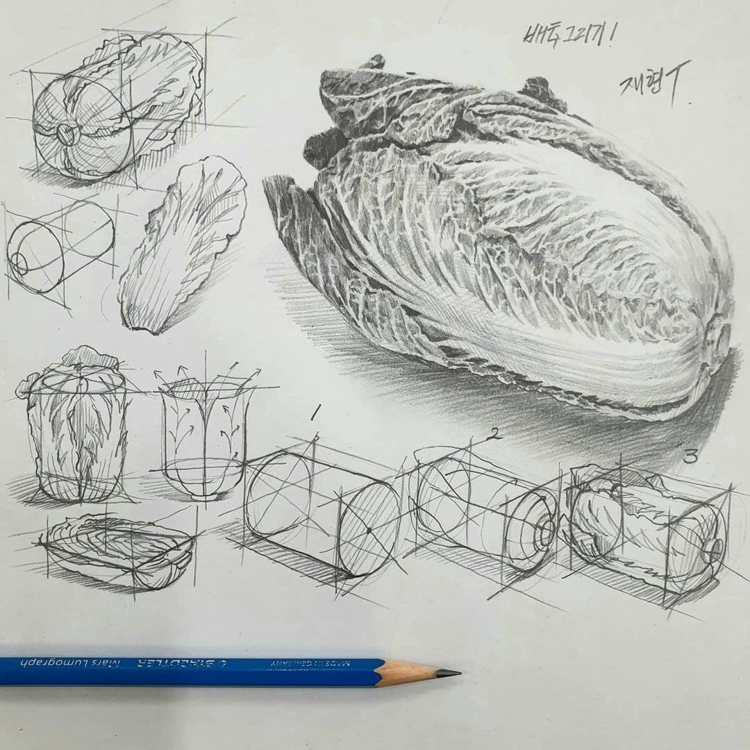 素描结构 | 韩国画家anjjaemi 素描作品欣赏-搜狐大视野-搜狐新闻