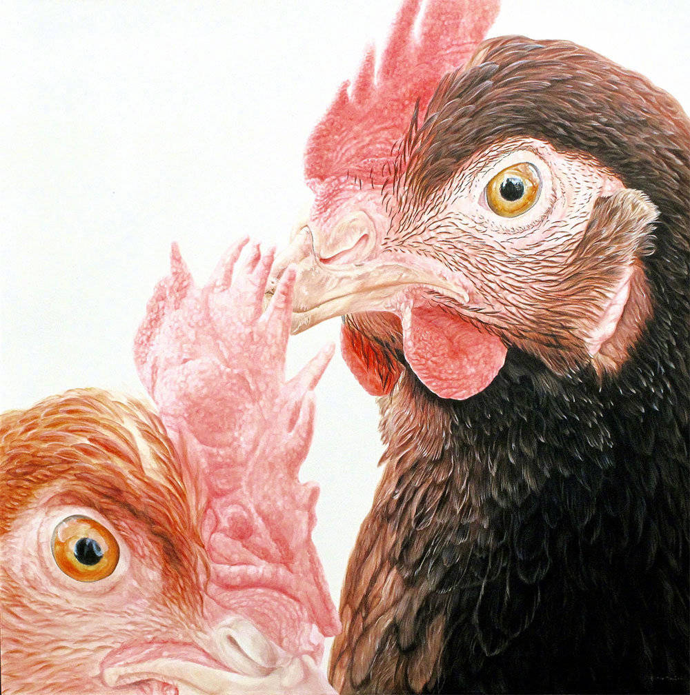 画家 Ester Curini 画笔下的动物-搜狐大视野-搜狐新闻