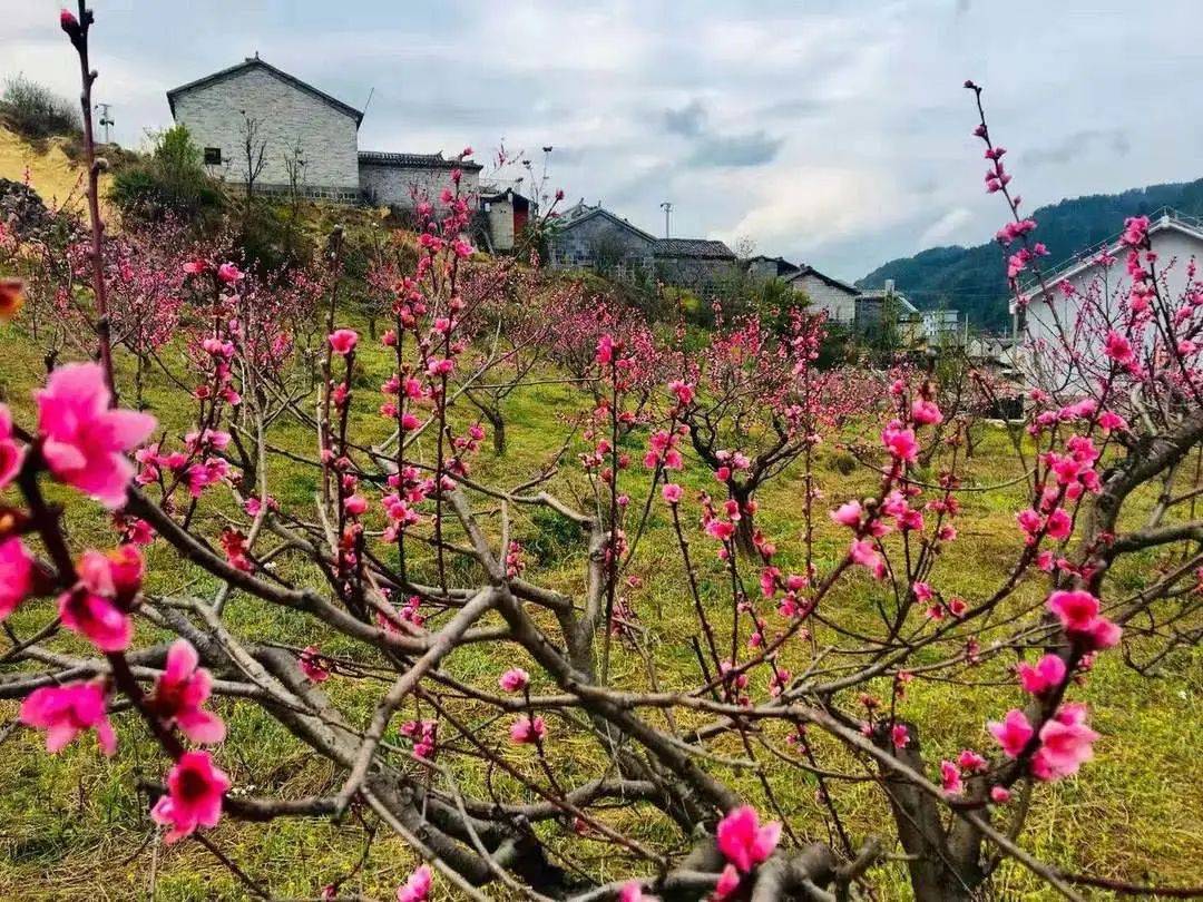 腾冲新岐图集-搜狐大视野-搜狐新闻