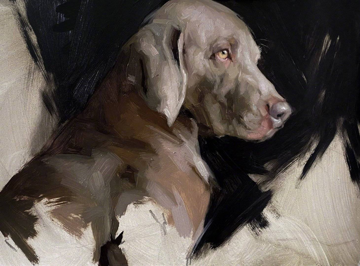 来自画家 Jennifer Gennari 绘画作品-搜狐大视野-搜狐新闻