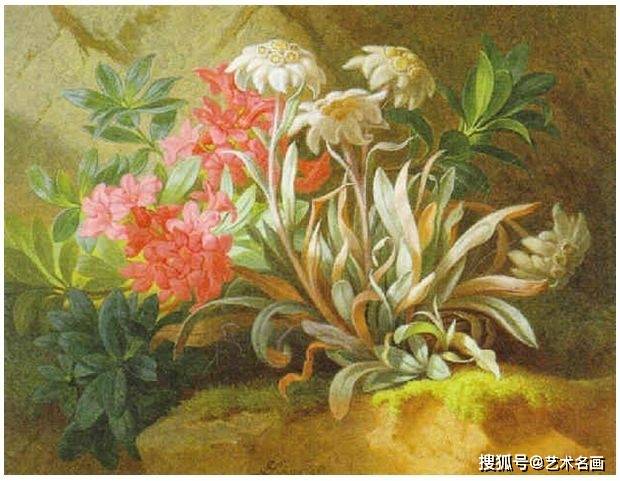 唯美细腻花卉静物；奥地利画家 -6park.com