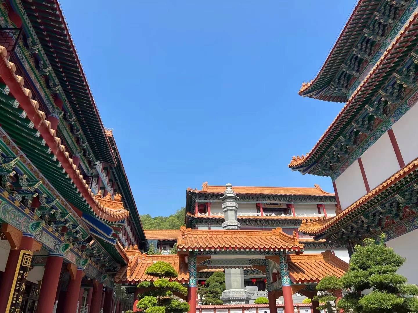 失之东隅，收之桑榆-搜狐大视野-搜狐新闻