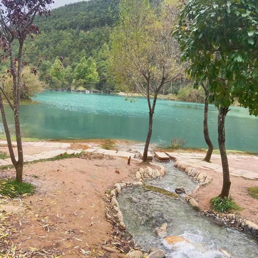 失之东隅，收之桑榆-搜狐大视野-搜狐新闻