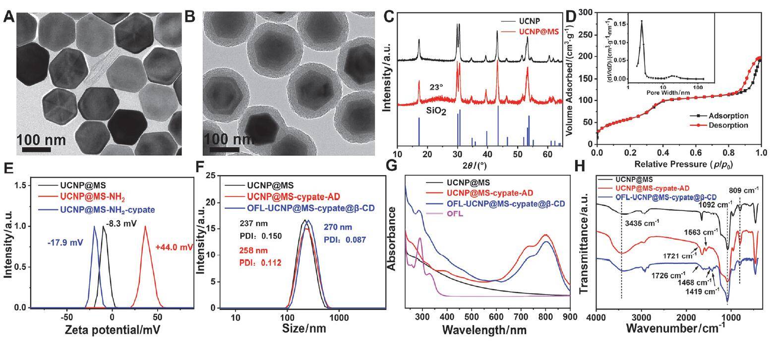 【NIR-II近红外二区荧光成像】NIR-II近红外二区成像-稀土上转换纳米载药系统_药物_nm_红外光