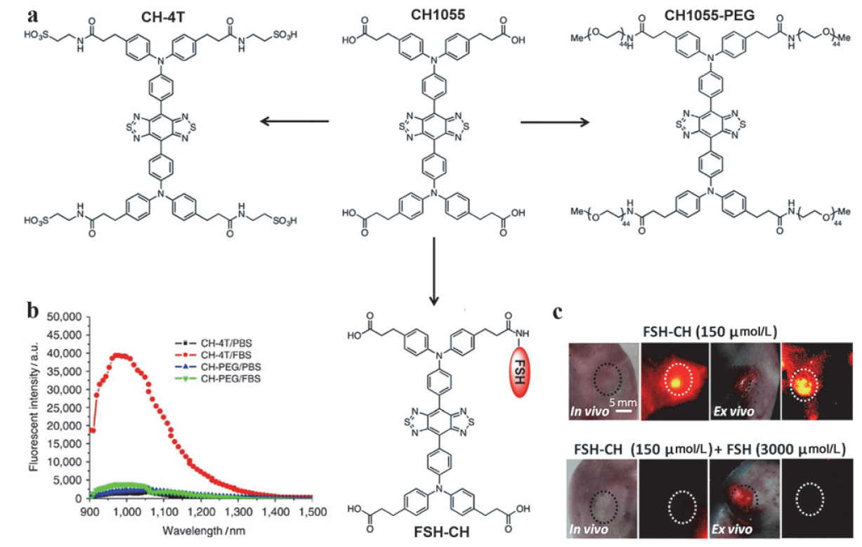 【NIR-II近红外二区荧光成像】NIR-II近红外二区荧光成像中有机小分子荧光探针_领域_组织_生物