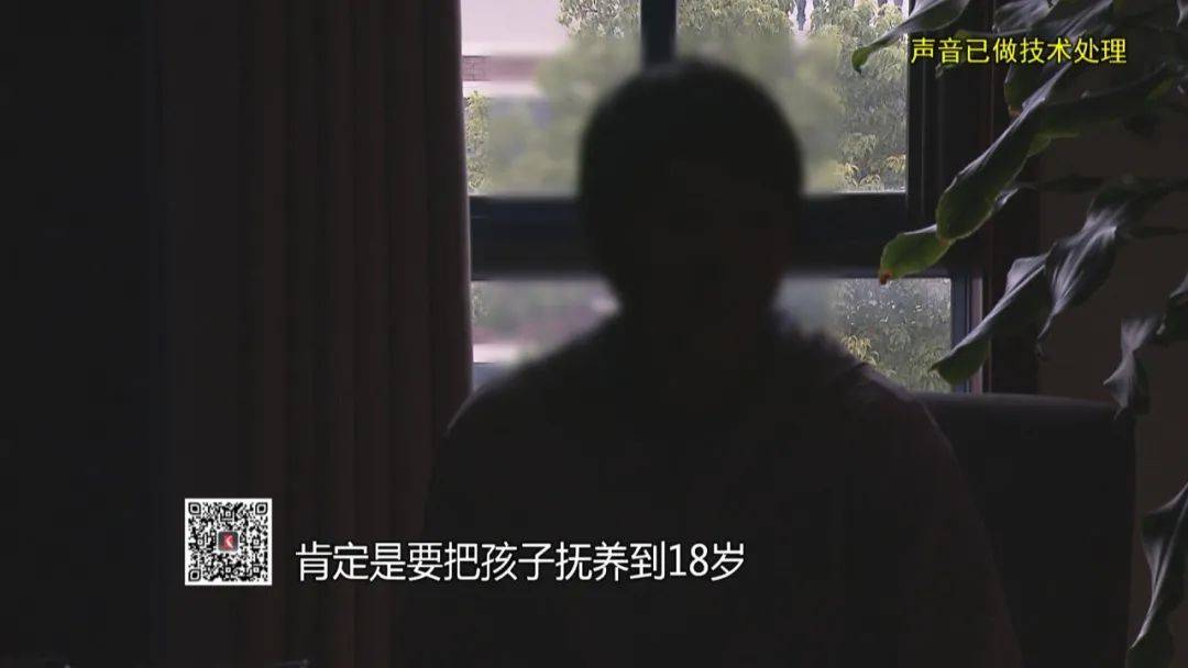 上海一男婴被遗弃在树林:躺在纸箱里 脸上红疙瘩 搜狐大视野 搜狐新闻