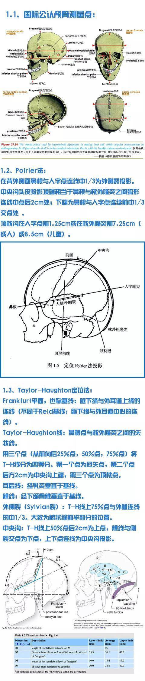 神经外科手术切口画线定位方法_cm