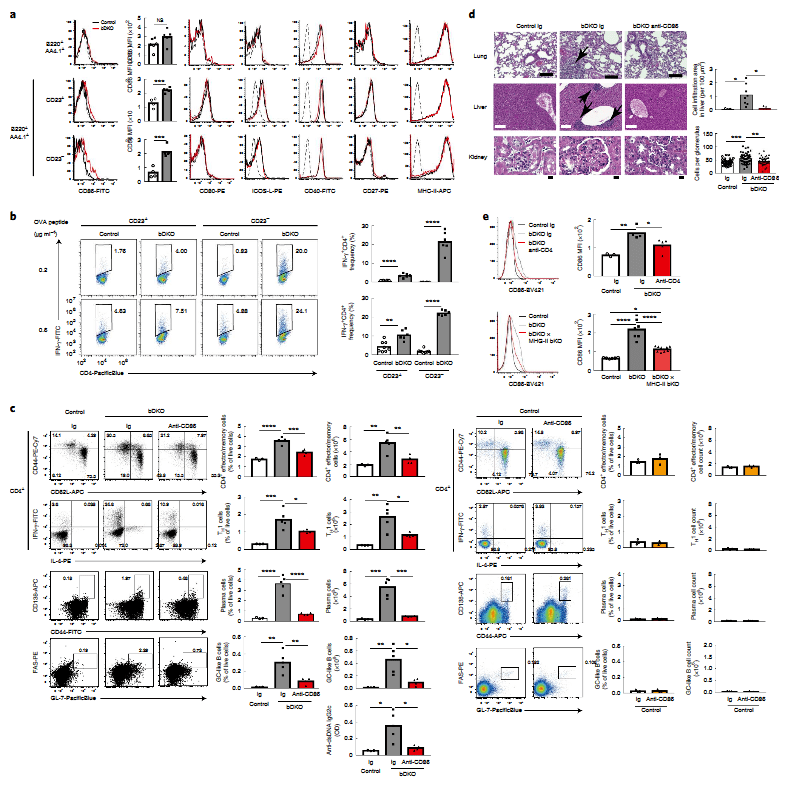 重磅！日本团队揭示明星蛋白Tet2和Tet3在自身免疫中的抑制作用-搜狐大视野-搜狐新闻