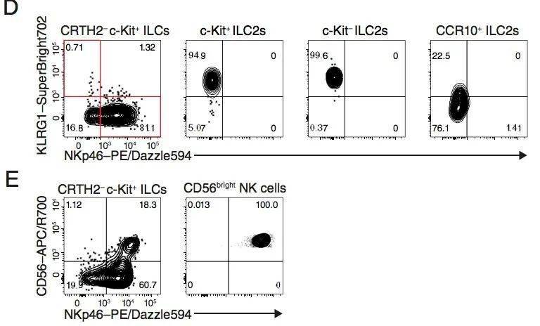 把ILC2再往下分，ILC3可能是其它ILC亚群的祖细胞_c-Kit