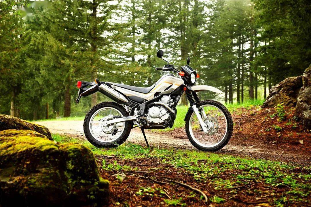 新图案：Yamaha 2021' TW200、XT250_搜狐汽车_搜狐网