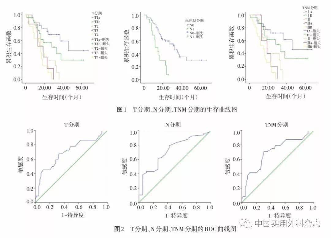论著｜第8版AJCC分期系统对肝内胆管癌术后预后评估价值研究_病人