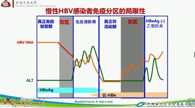 窦晓光教授：ALT正常的慢性HBV感染一般人群抗病毒治疗策略_HBeAg