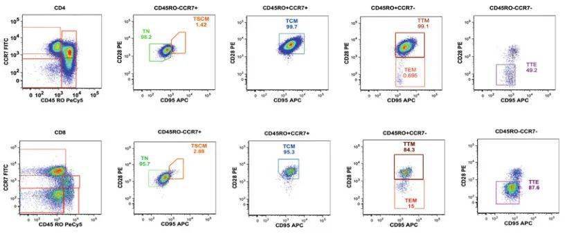 Tn/Tscm/Tcm/Tem等的表面标记特征和设门步骤，顺祝双节快乐-搜狐大视野-搜狐新闻