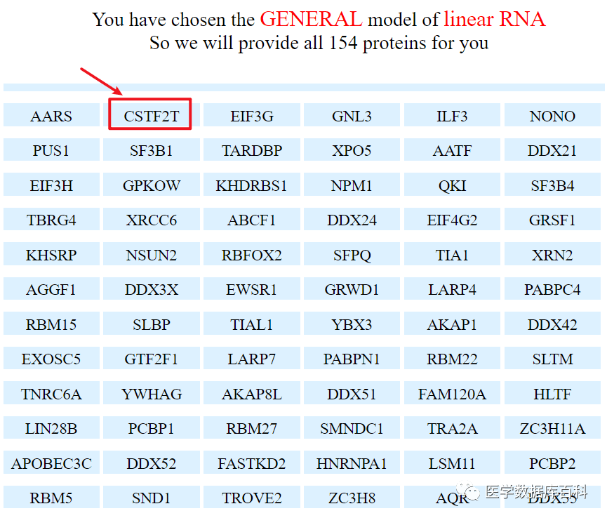 RNA-蛋白质结合位点预测_RBPsuite