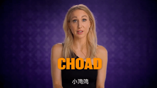 什么叫他妈的他妈的惊喜！” 搜狐大视野 搜狐新闻