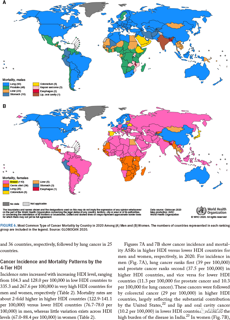 神刊：GLOBOCAN 2020_Cancer