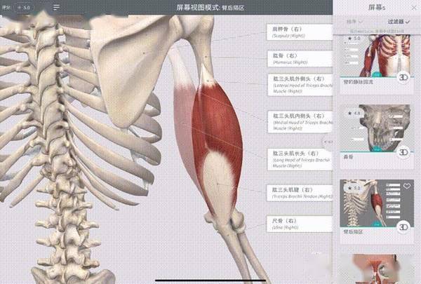 爱思唯尔旗下3D4Medical发布中文版Complete Anatomy_解剖