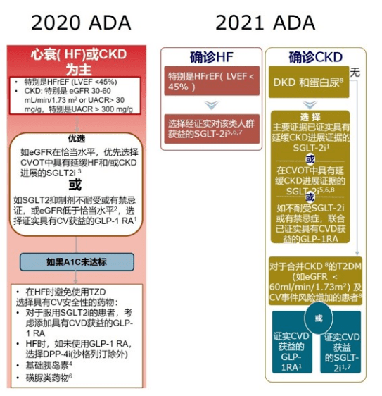 证据改变指南，指南引领实践：解读2021 ADA指南更新，纵观SGLT-2i地位变迁_患者