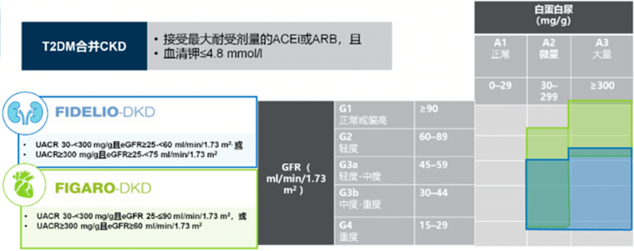 突破性进展——非奈利酮有望填补2型糖尿病合并慢性肾病治疗策略的空白_患者