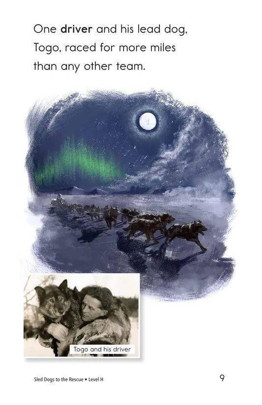 【RAZ-H-31】Sled Dogs to the Rescue_Level