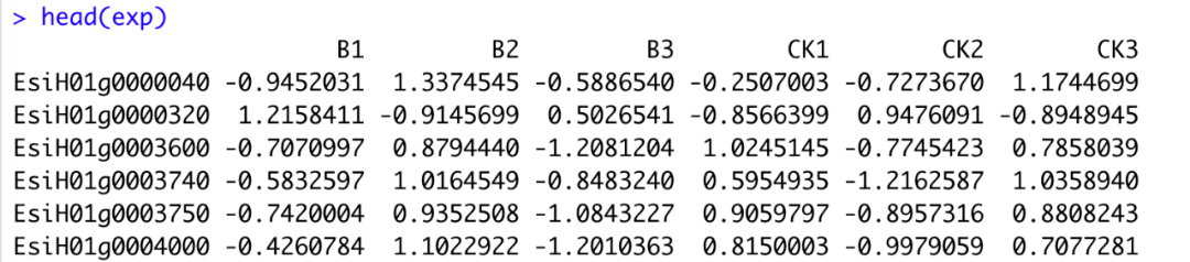 如何让你的图变得高大上之ComplexHeatmap_exp